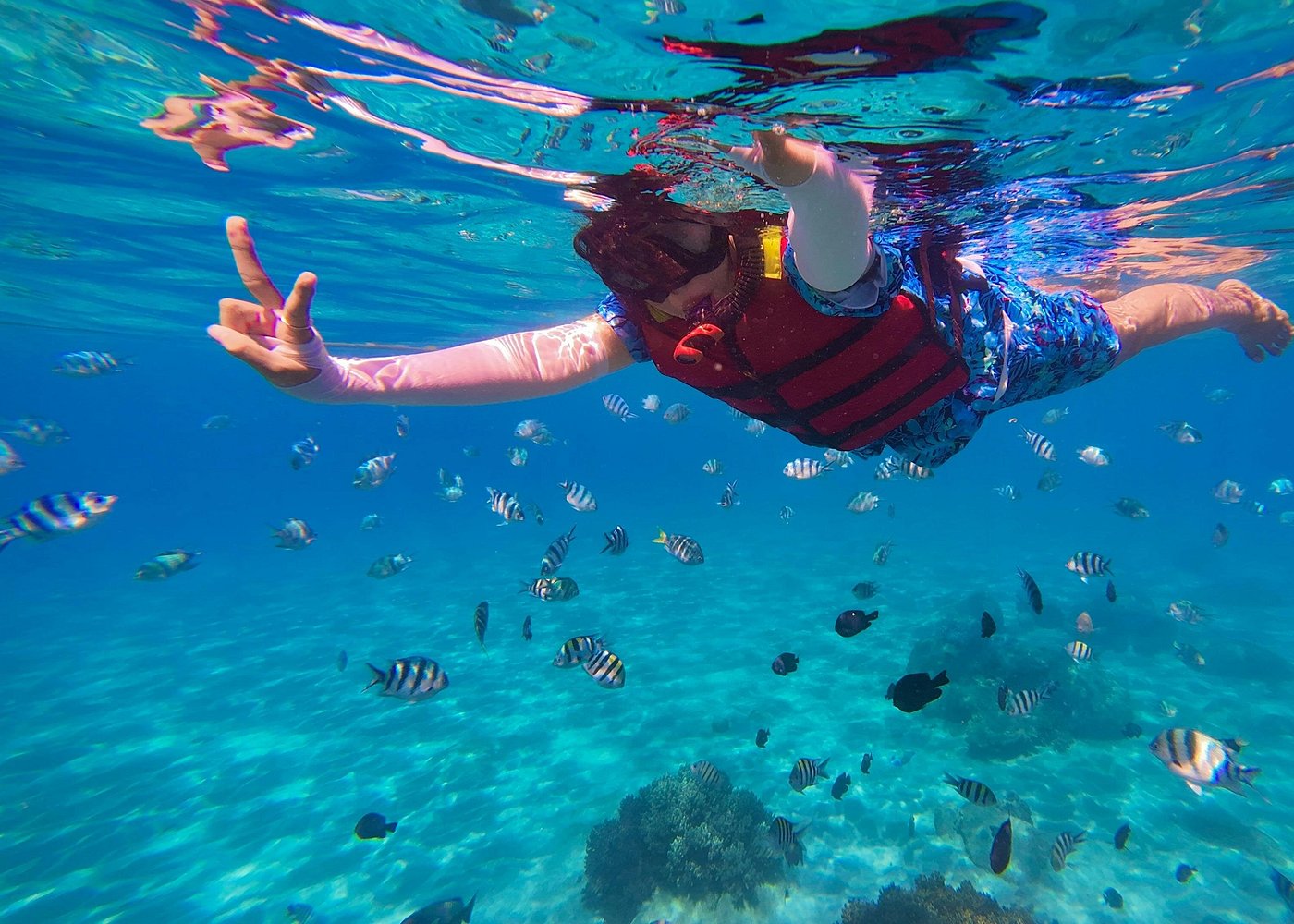 Nusa Penida Snorkeling & Manta Bay Day Trip — From US$109 — Angga's ...